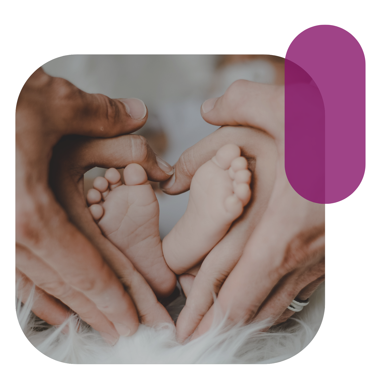 Whole Genome Sequencing | Dante Labs World – Dante Labs Global