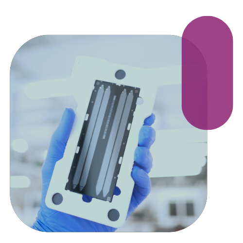 Whole Genome Sequencing | Dante Labs – Dante Labs Global